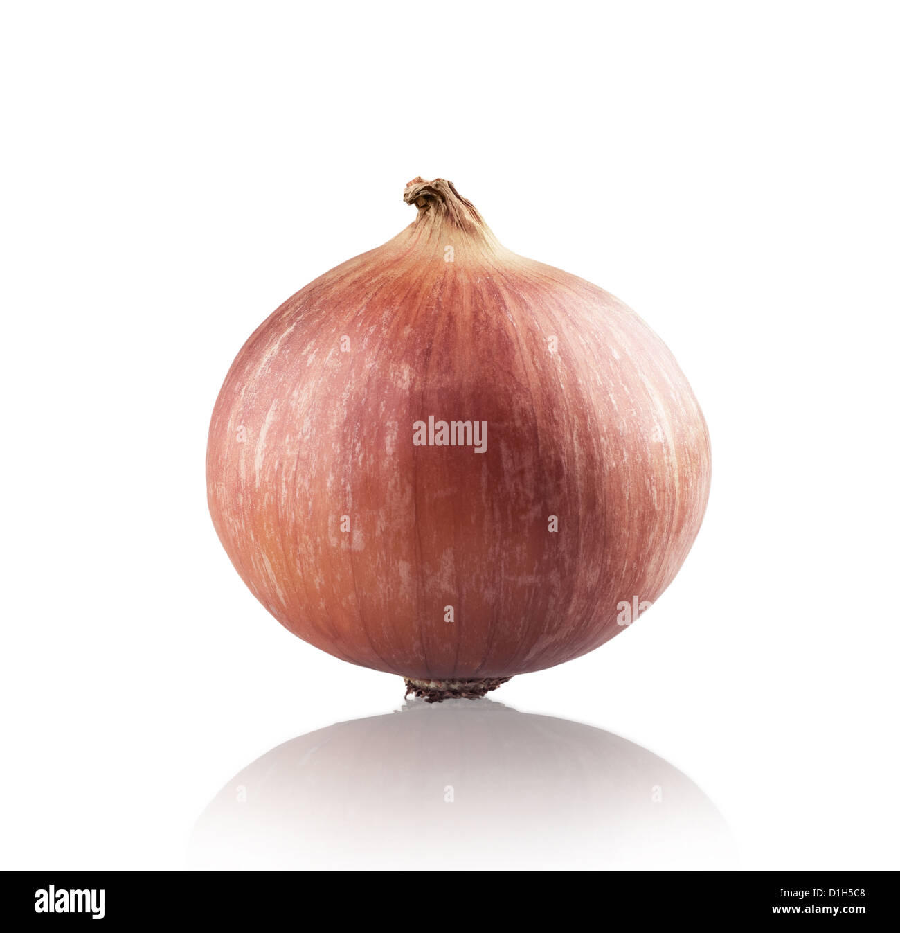 Garden cuisine Cut Out Stock Images & Pictures - Alamy