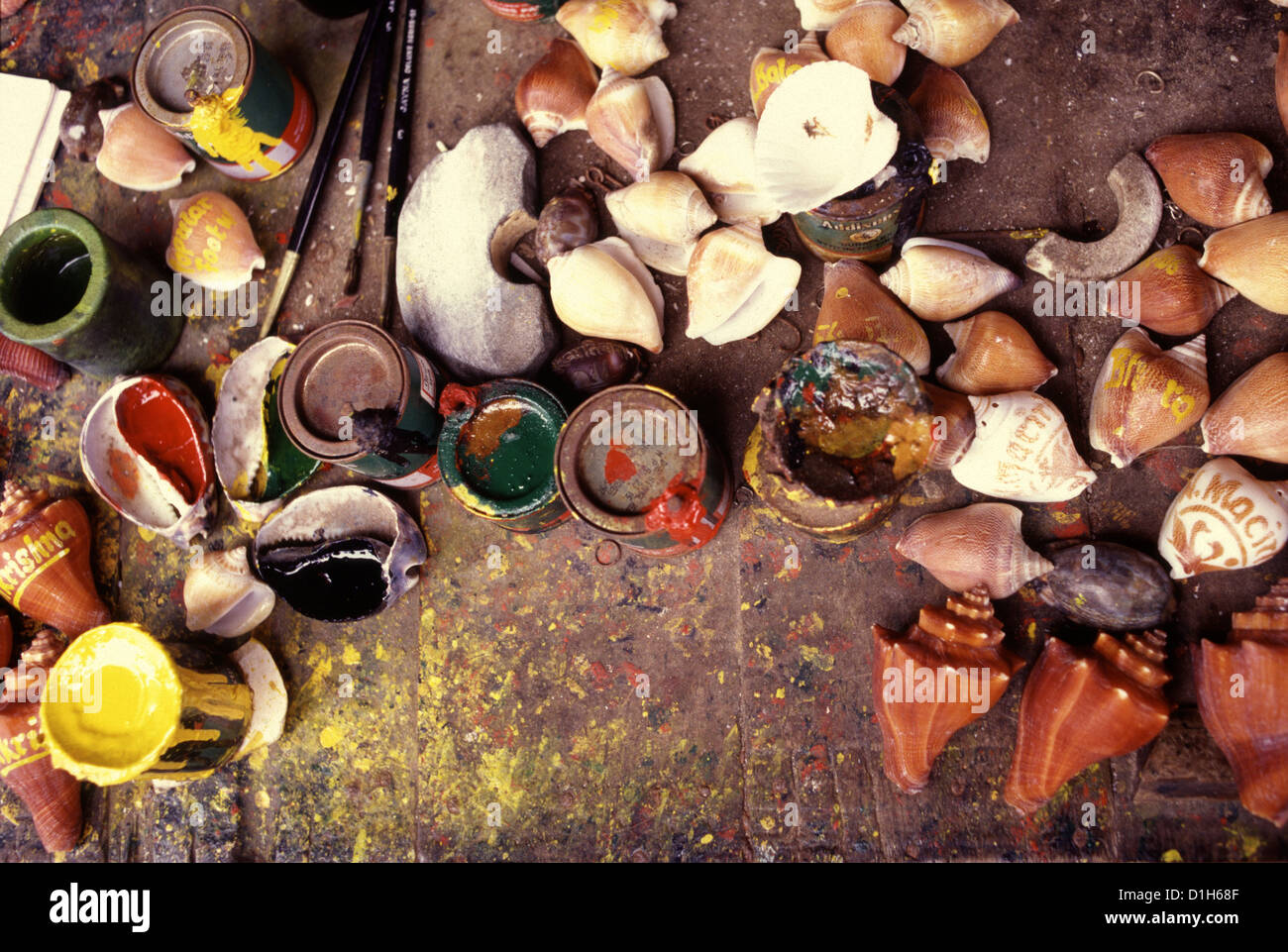 Conch shells for sale in the market in Kanyakumari also known as Cape ...