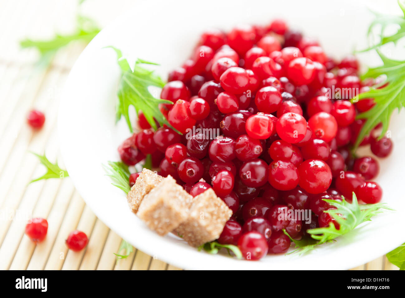 Fresh cranberries in a white bowl, close-up Stock Photo - Alamy