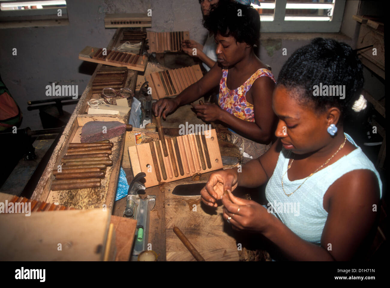 Two women hand rolling Cuban cigars Stock Photo - Alamy