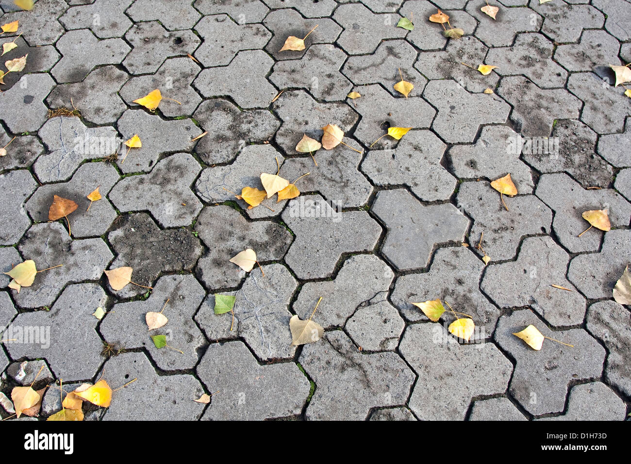 autumn pavement with leaves Stock Photo - Alamy