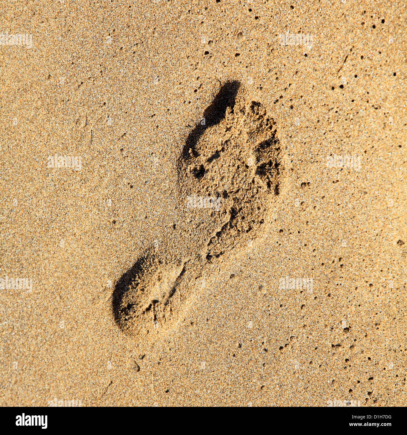 Square footprint hi-res stock photography and images - Alamy