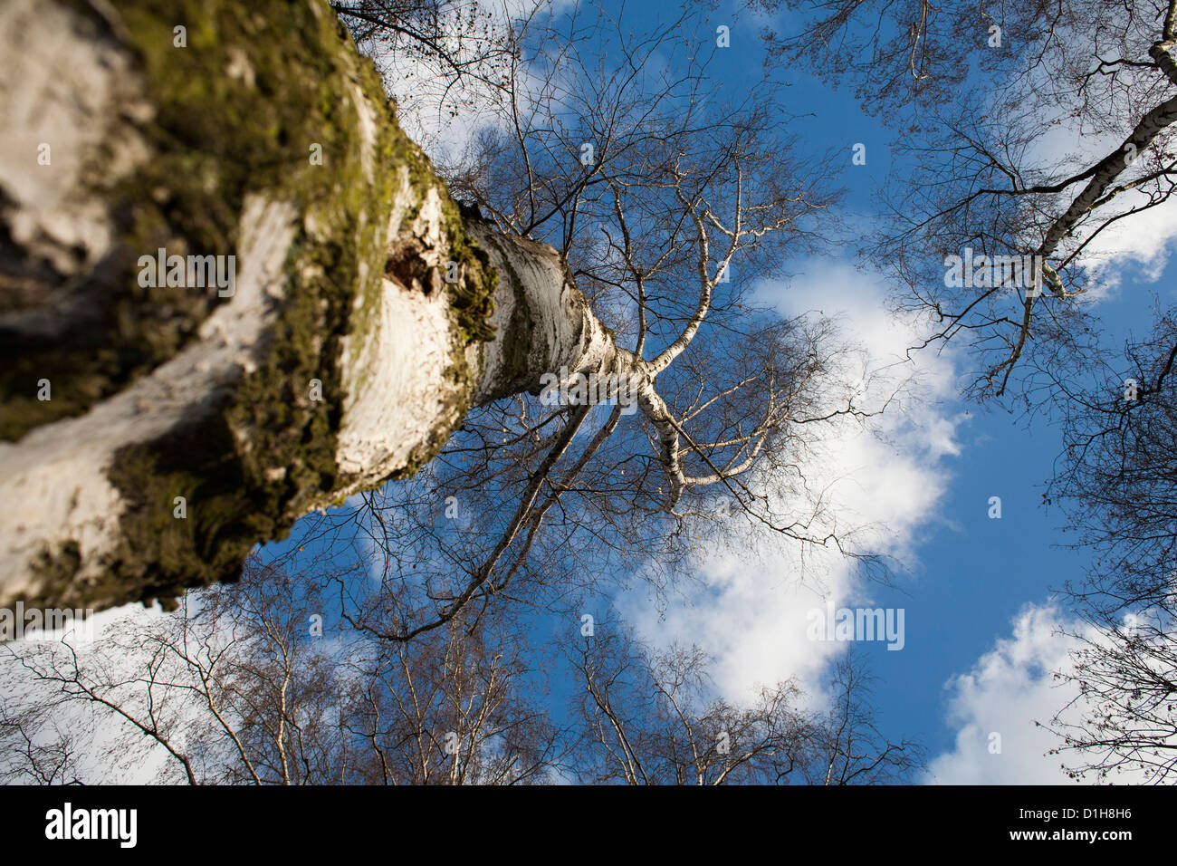 Dynamic angle hi-res stock photography and images - Alamy