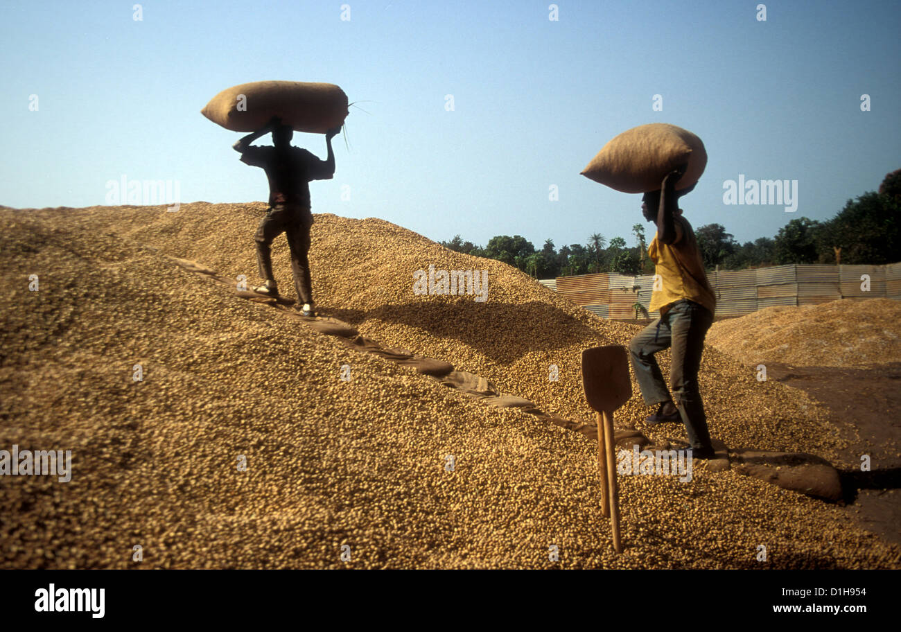 Peanuts the gambia hi-res stock photography and images - Alamy
