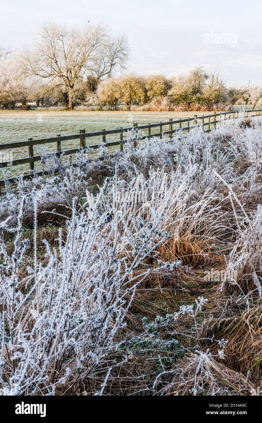 Winter scene with heavy frost in Stony Stratford, Milton Keynes ...