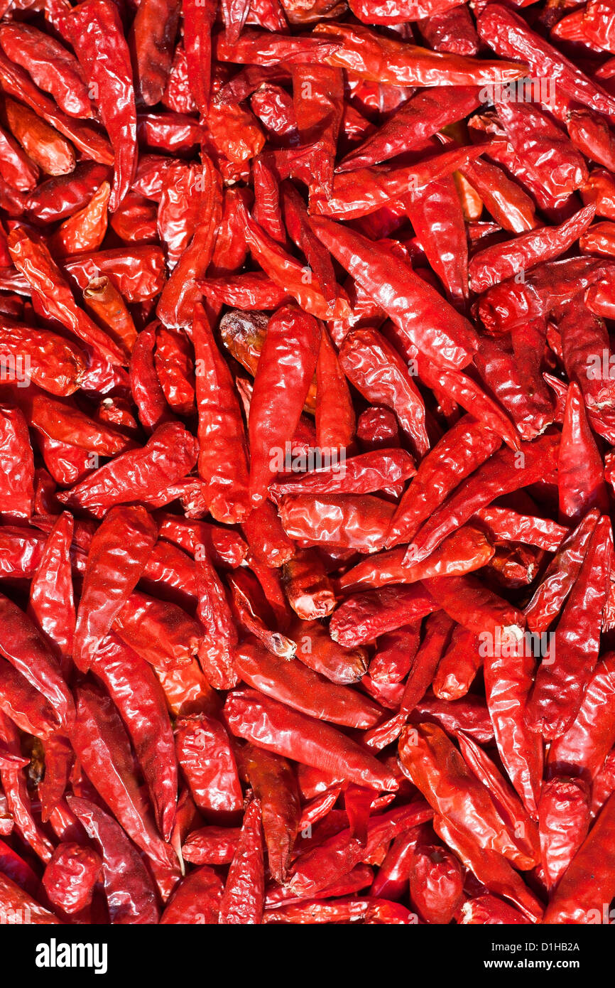 Red hot chili peppers drying on the sun background Stock Photo - Alamy