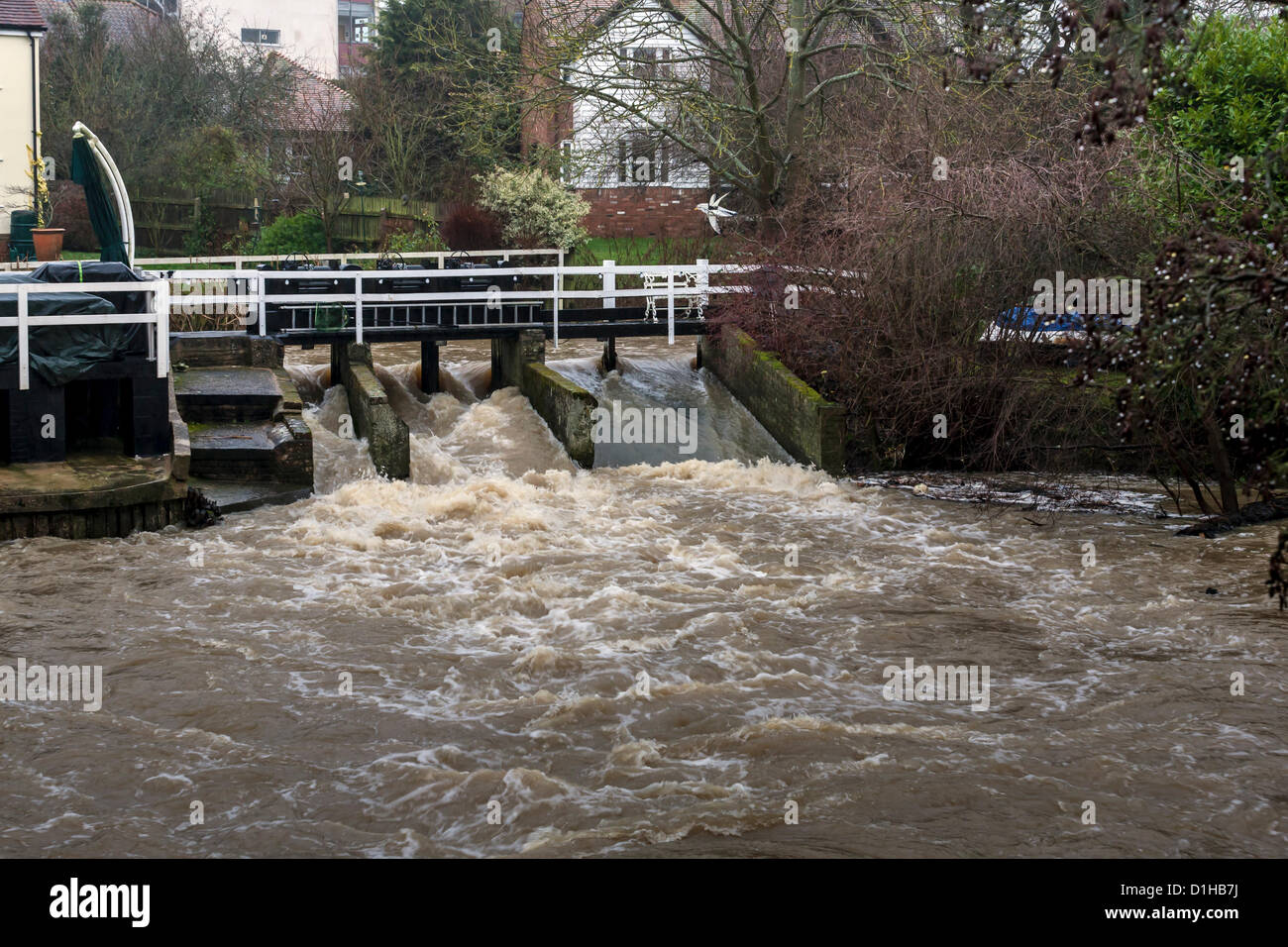 Persistent hi-res stock photography and images - Alamy