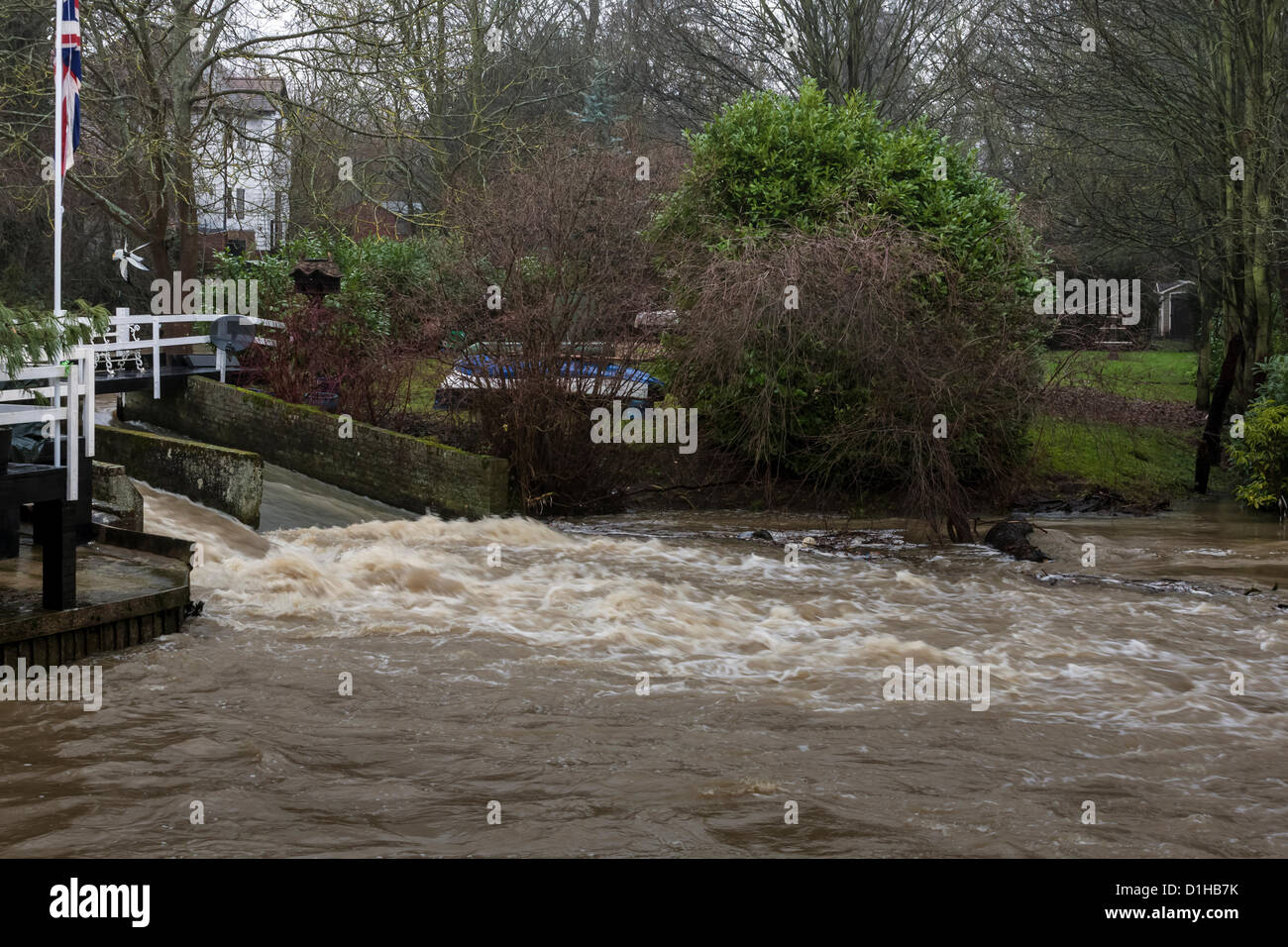 Persistent hi-res stock photography and images - Alamy