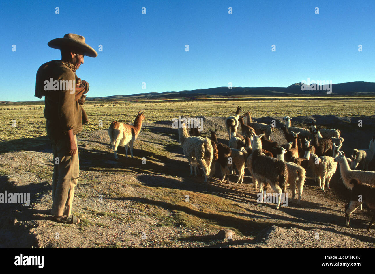 Aymara region hi-res stock photography and images - Alamy