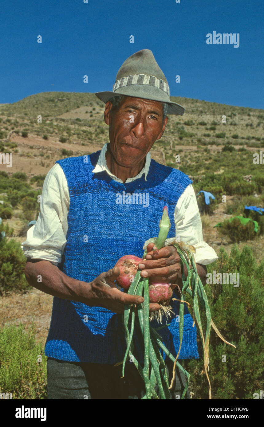 Native Aymara man farmer with vegetables,Altiplano, Andes,Bolivia Stock ...
