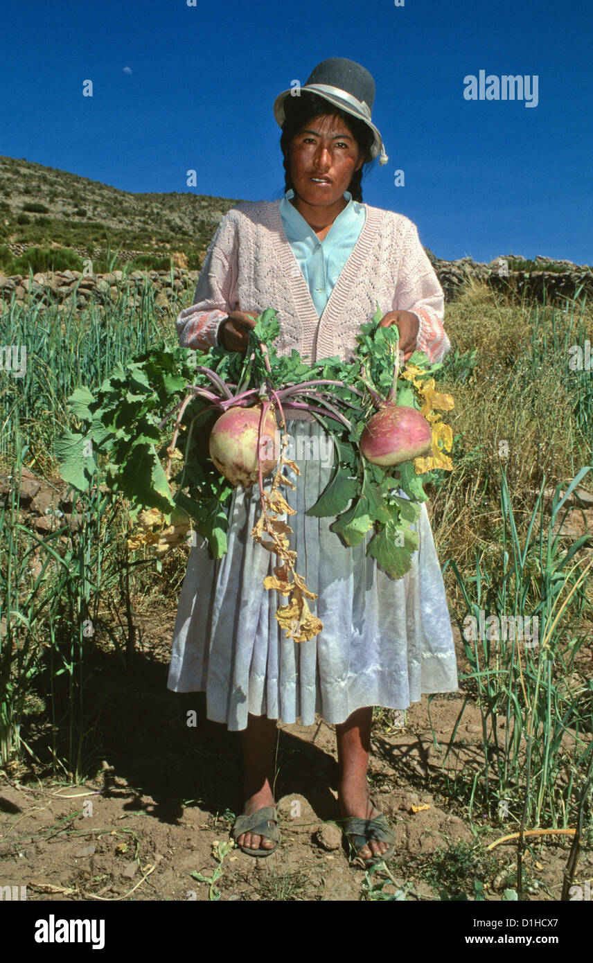Native Aymara woman farmer with onions,Altiplano, Andes,Bolivia Stock ...