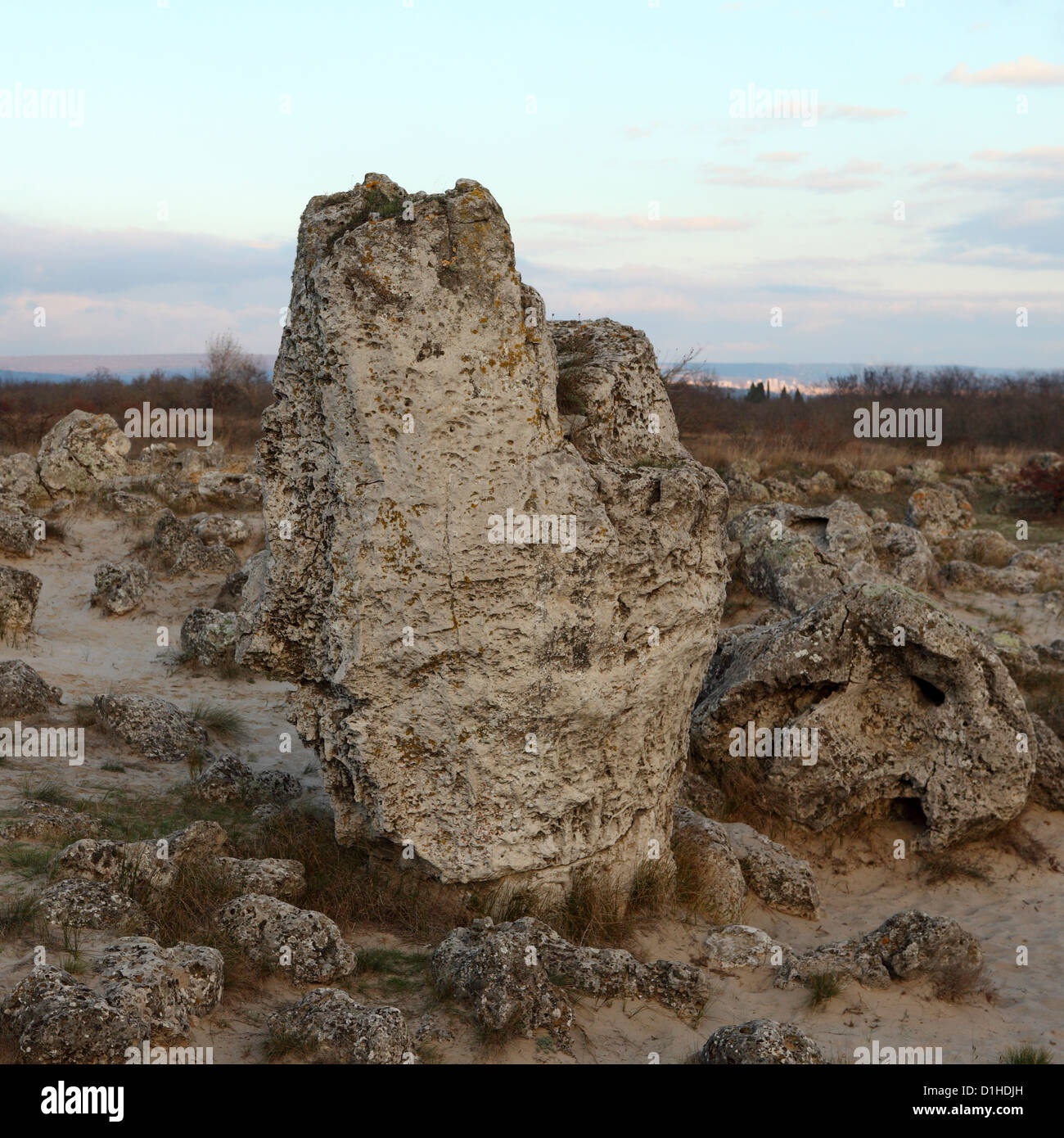 The Stone Forest (Pobiti Kamani), near Varna, Bulgaria Stock Photo - Alamy
