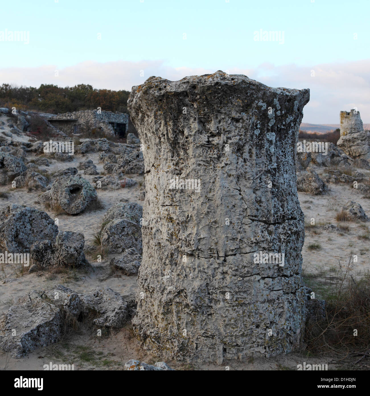 The Stone Forest (Pobiti Kamani), near Varna, Bulgaria Stock Photo - Alamy
