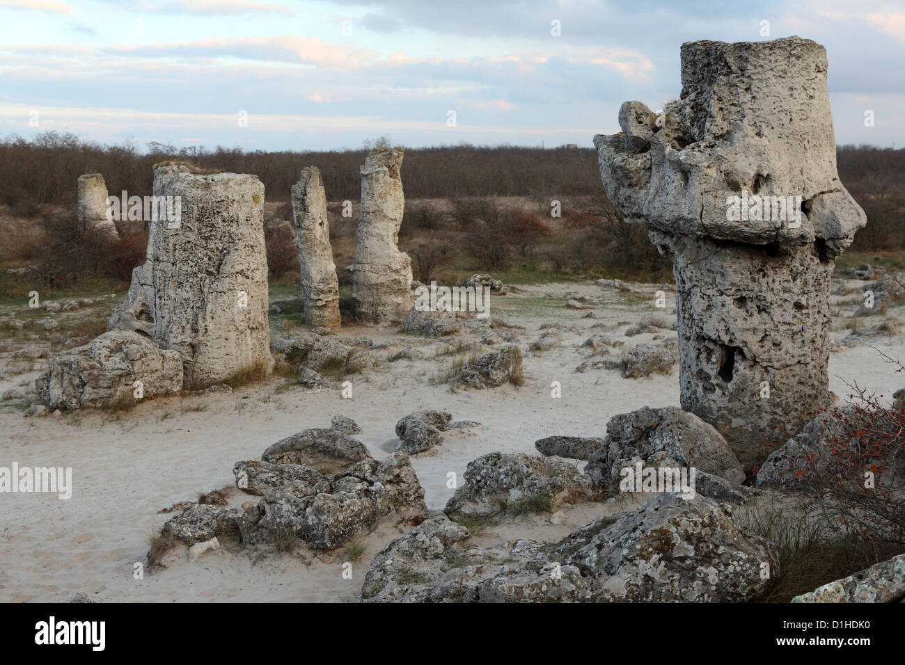 The Stone Forest (Pobiti Kamani), near Varna, Bulgaria Stock Photo - Alamy