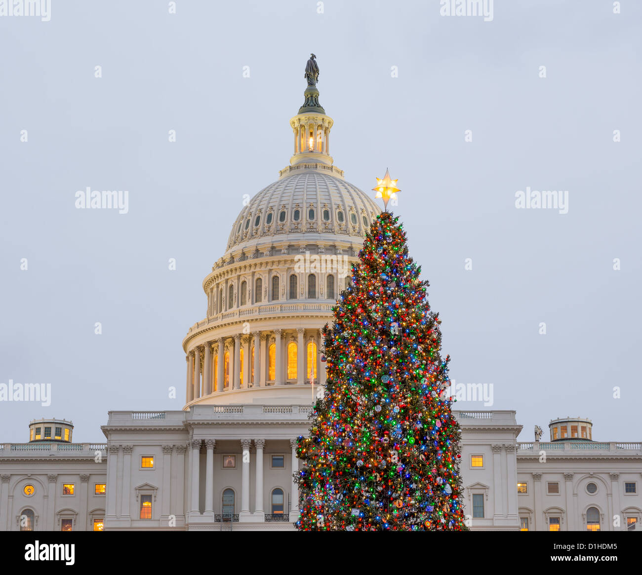 Christmas tree in early evening as sun setting over Washington DC Stock ...