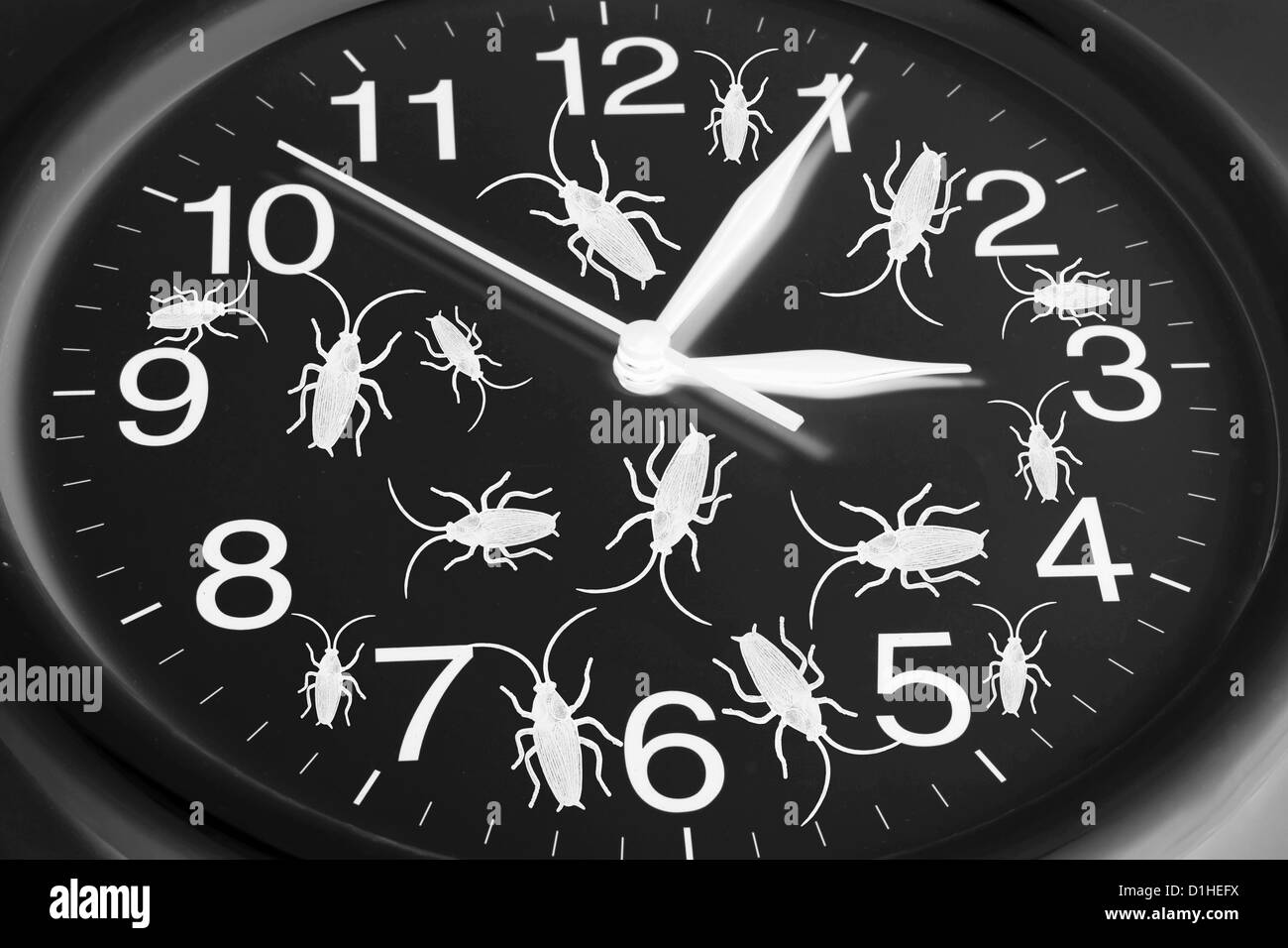 Toy Cockroaches on Clock Stock Photo - Alamy