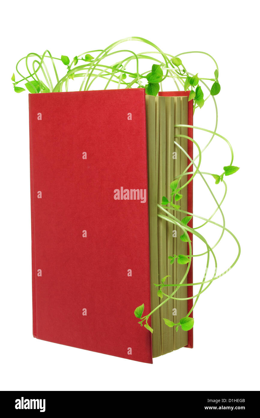 Book and Snow Pea Sprouts Stock Photo - Alamy