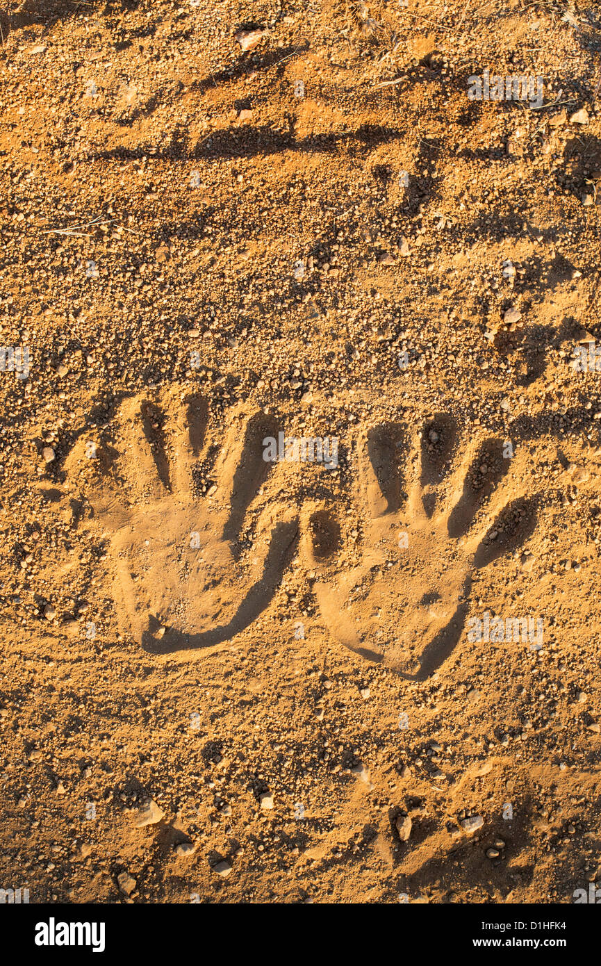 Handprint Handprints High Resolution Stock Photography and Images - Alamy