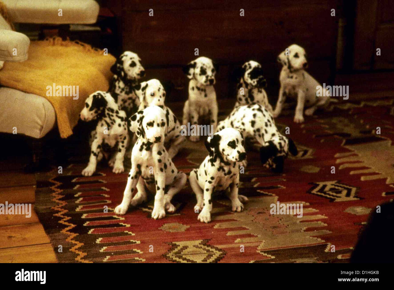 101 dalmatians hi-res stock photography and images - Alamy