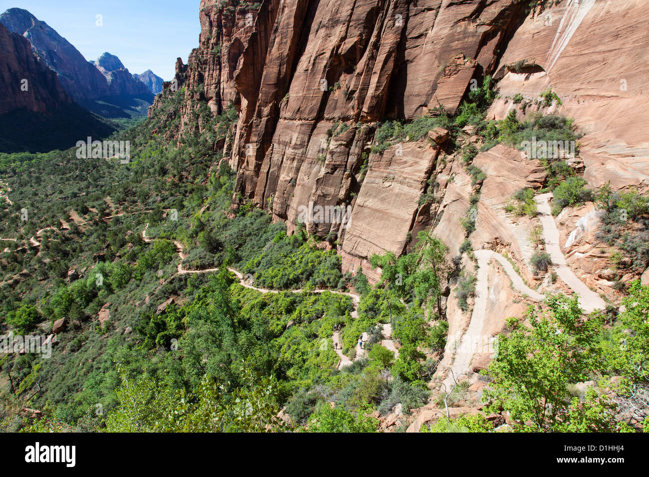 The Trail to Angels Landing, Zion NP, Utah Stock Photo - Alamy