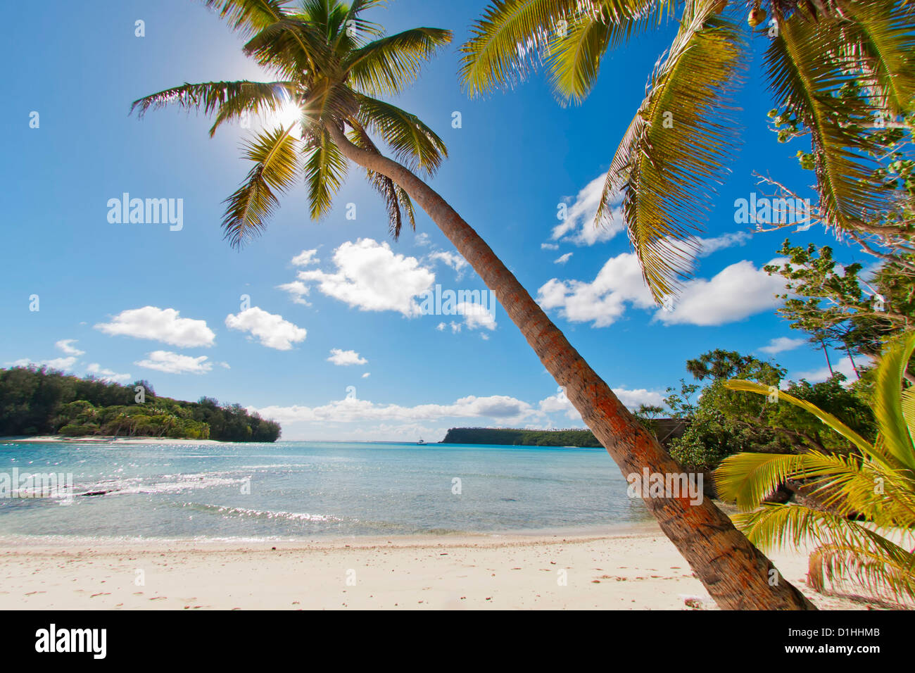 Tropical Paradise Polynesian Beach Ocean Sea Crystal Water Clear Sand ...