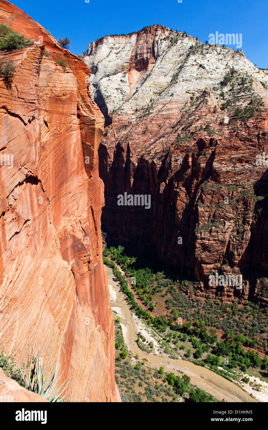 The west temple of zion hi-res stock photography and images - Alamy