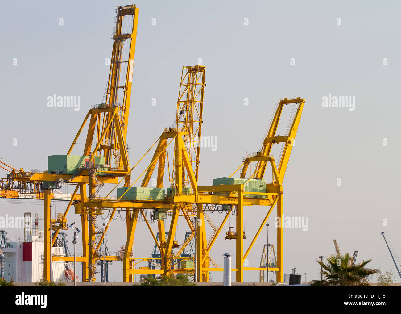 several yellow big cranes Stock Photo - Alamy