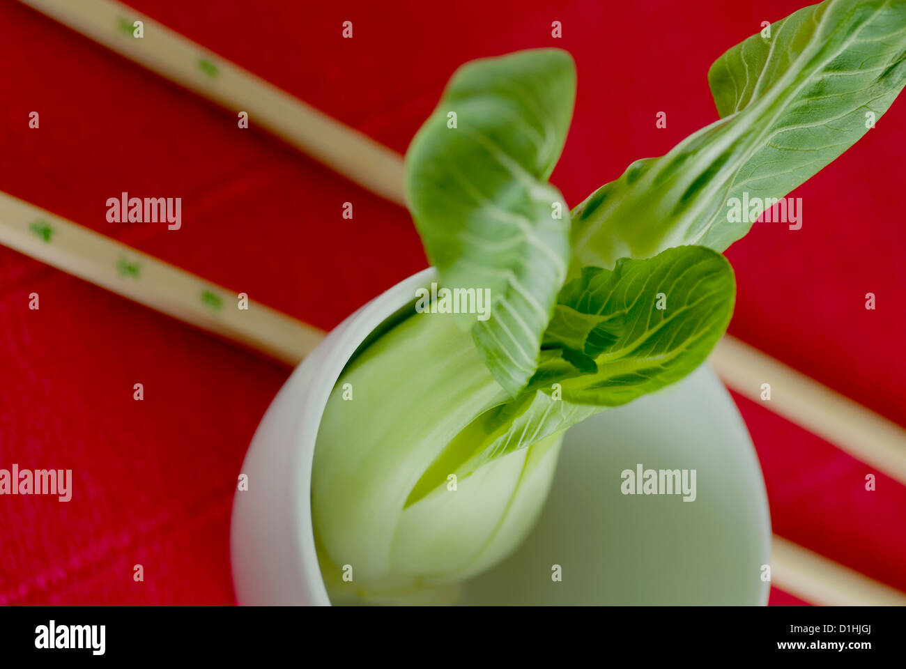 an overhead shot of the green shoots of the chinese vegetable Pak Choi ...