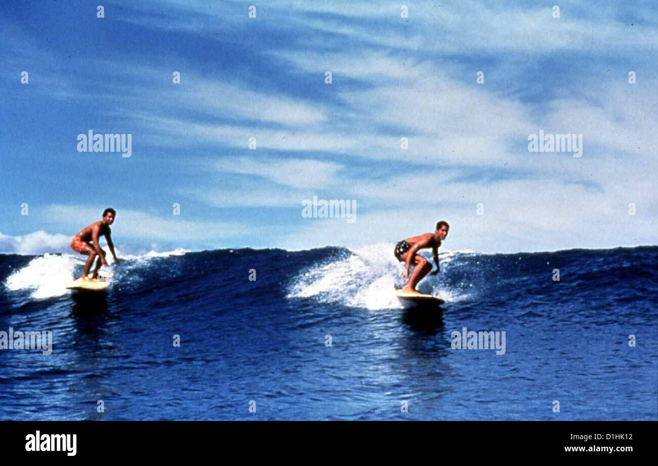Aloha Summer Aloha Summer Szene *** Local Caption *** 1987 Stock Photo ...