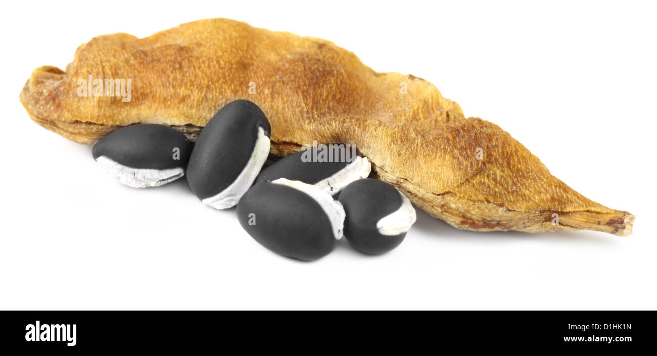 Edible seeds of hyacinth bean or Indian bean Stock Photo - Alamy