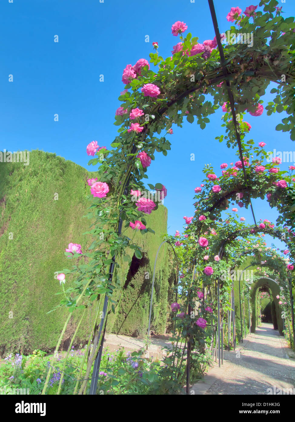 Granada alhambra palace gardens hi-res stock photography and images - Alamy