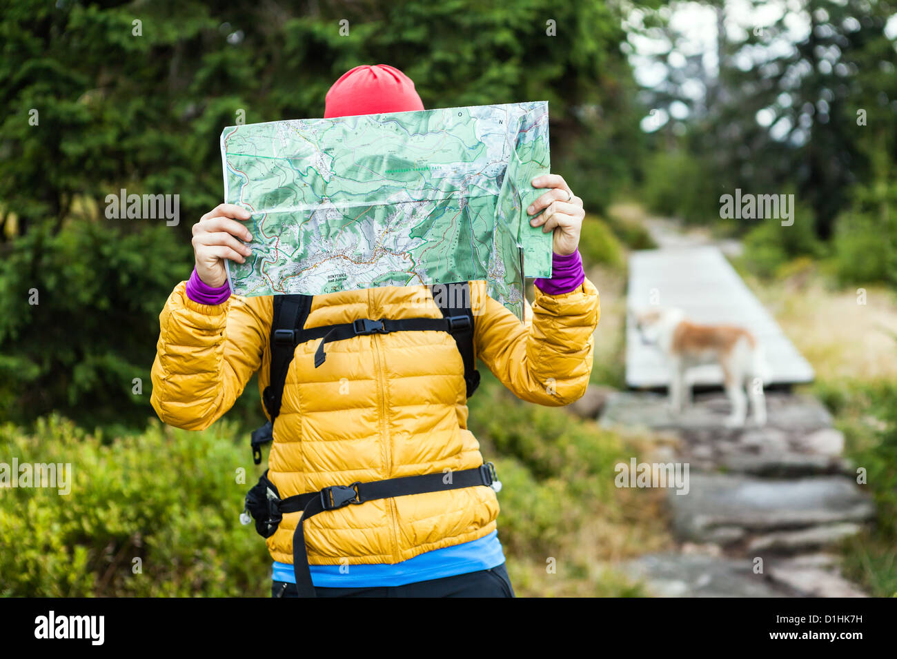 Hiker girl map in mountains hi-res stock photography and images - Alamy