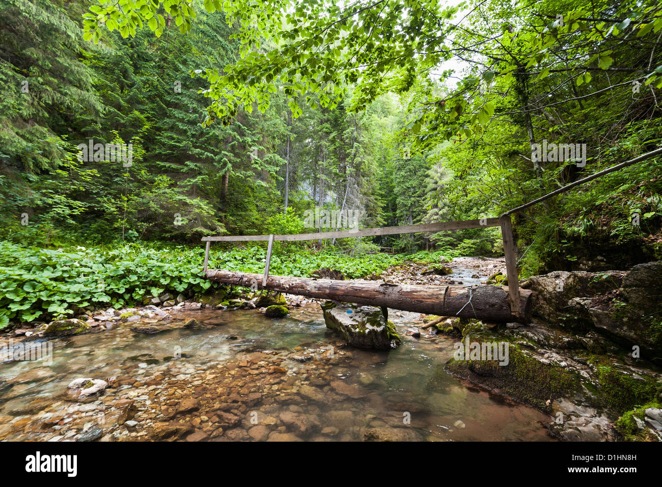 Bridge across rock creek hi-res stock photography and images - Alamy