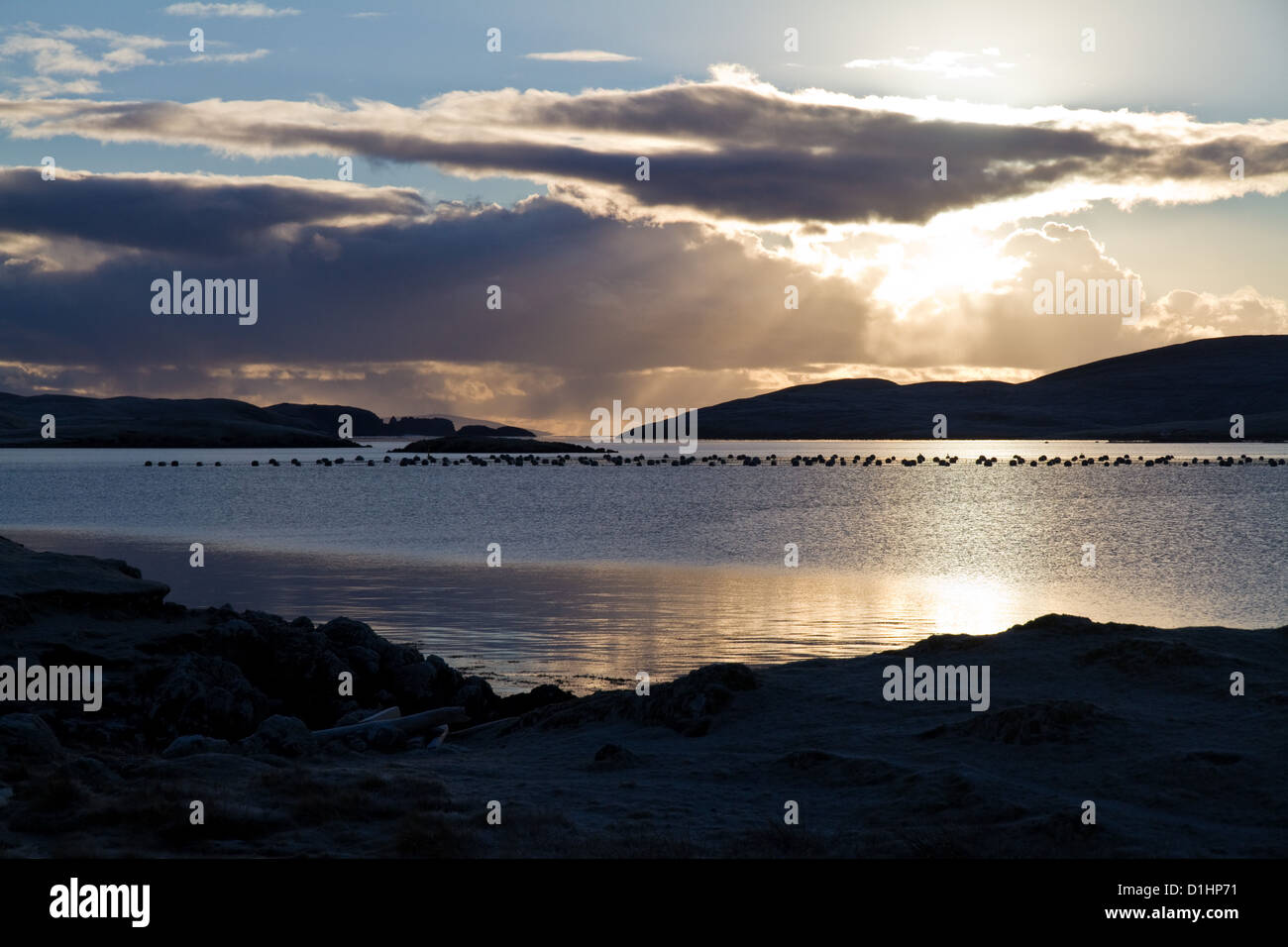Vaila shetland hi-res stock photography and images - Alamy