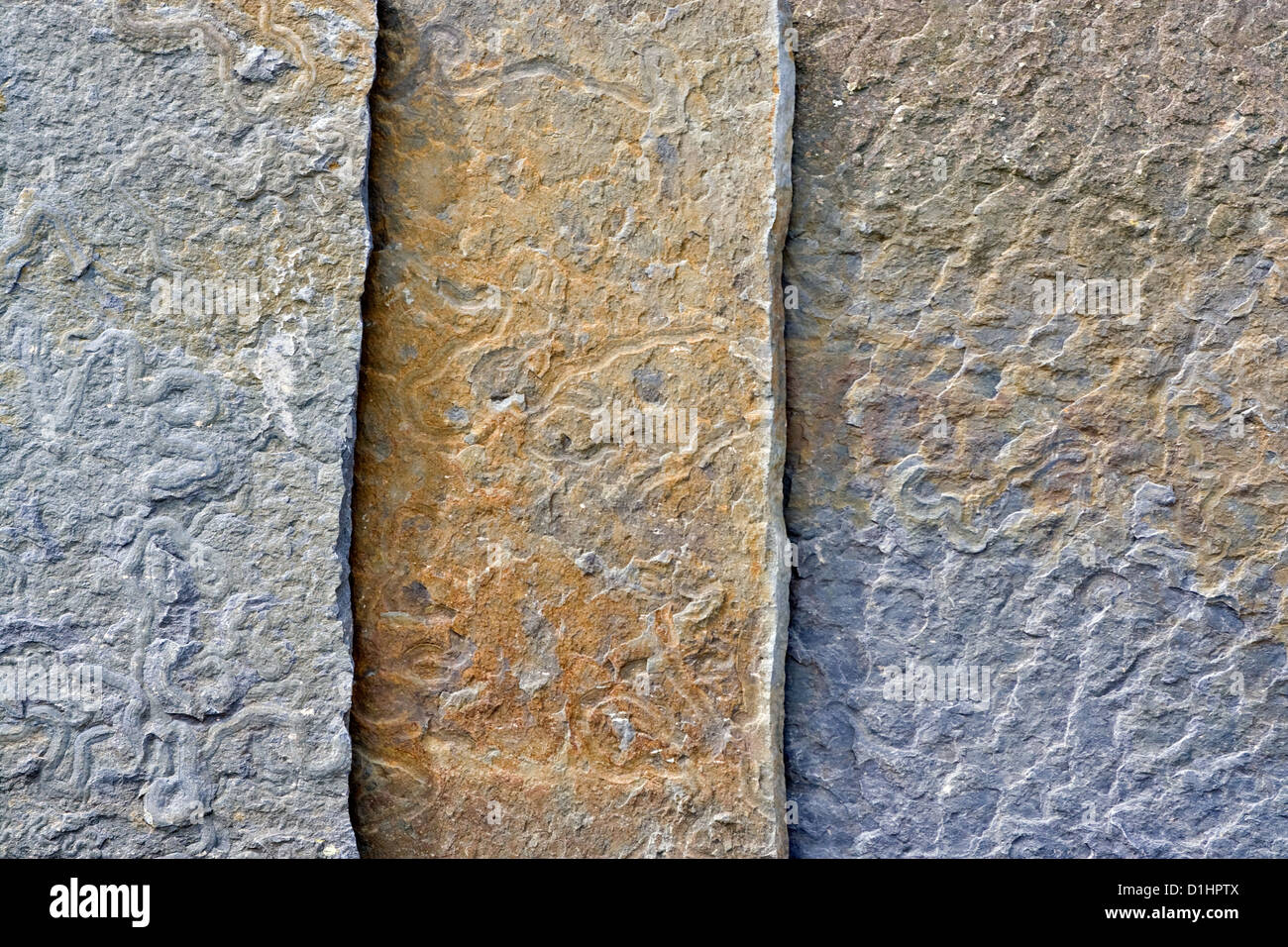 Closeup slate wall showing detail hi-res stock photography and images ...