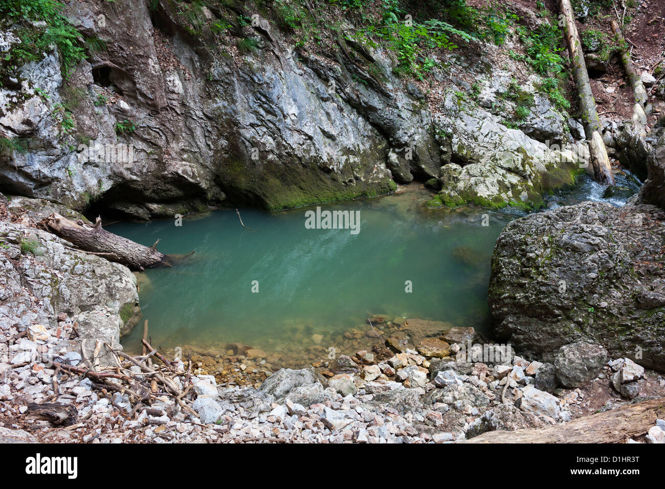 Izbucul Galbenei, karstic spring in Apuseni mountains, Romania Stock ...