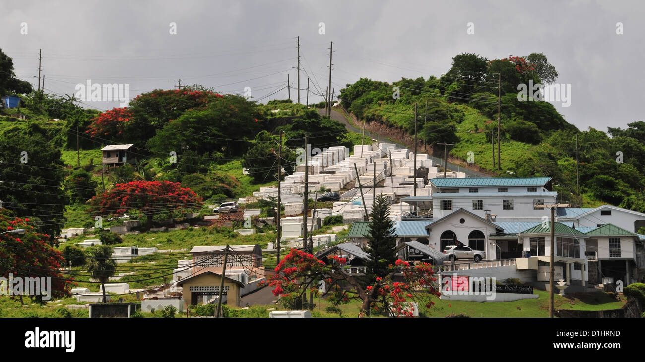 Hillside view, from River Road, green trees, red Flamboyant Trees ...