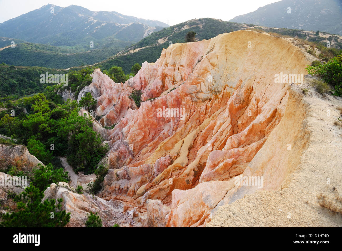 Gully in Hong Kong, inside mountain Stock Photo - Alamy