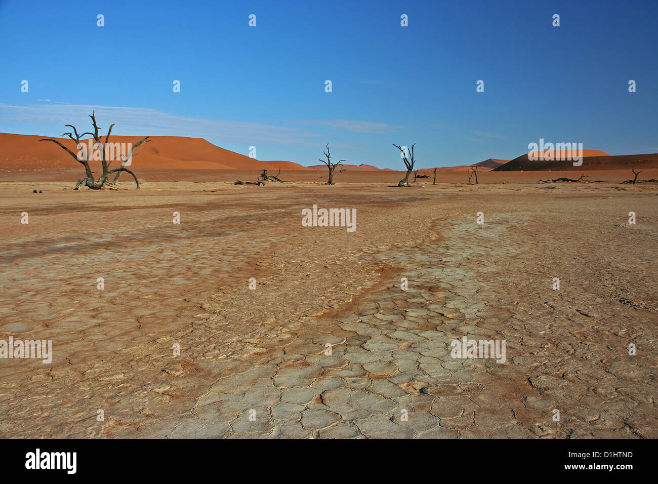 Dead velei hi-res stock photography and images - Alamy