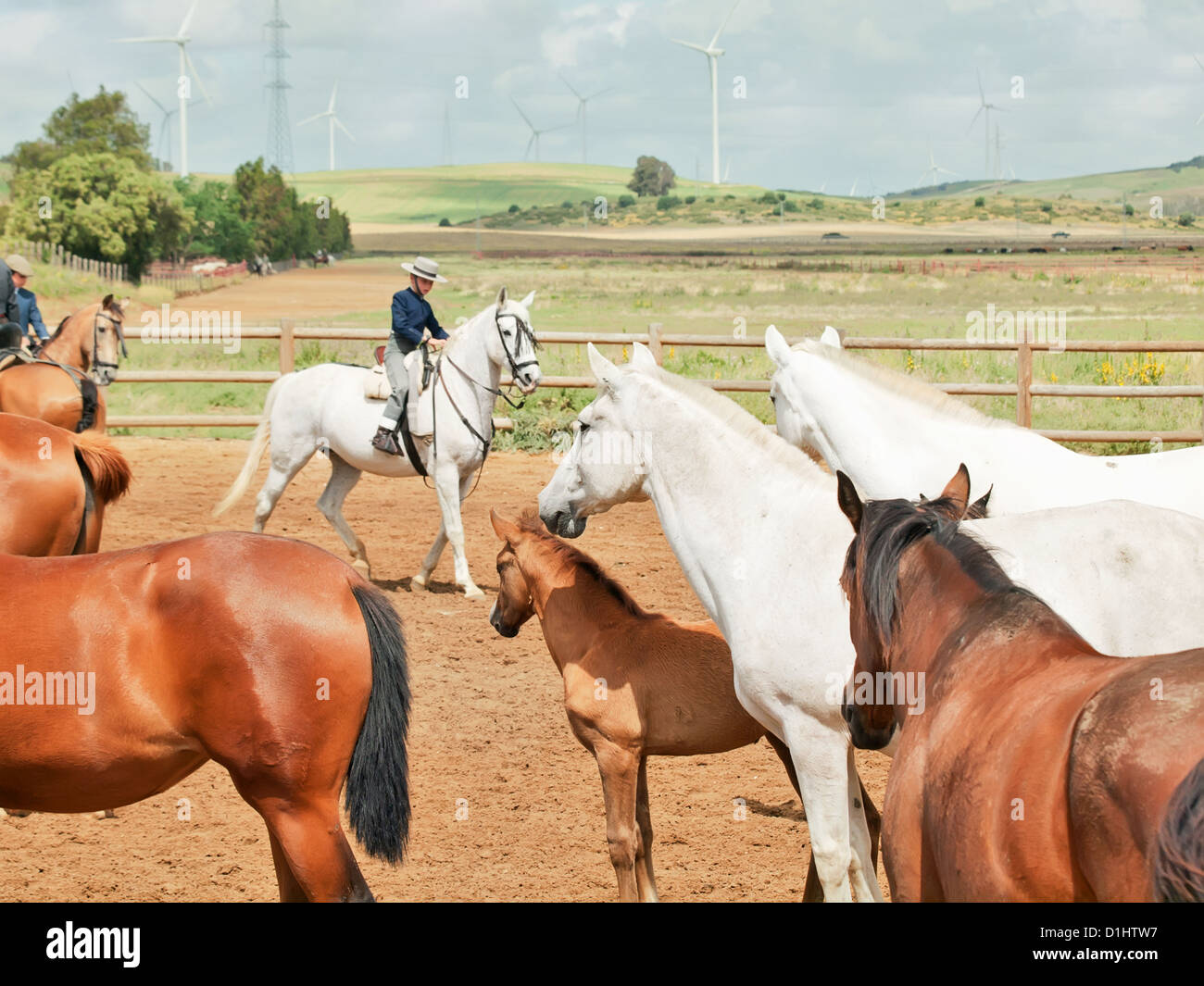 Beautiful spain hi-res stock photography and images - Alamy