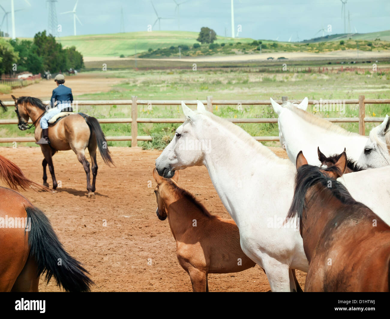 Beautiful spain hi-res stock photography and images - Alamy