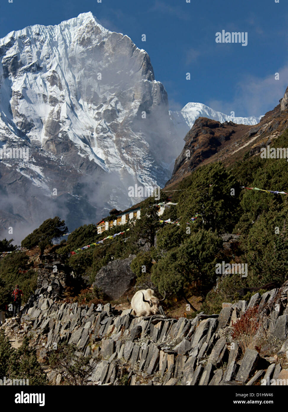 Mani stones leading to Thame monastery, Namche, Solukhumbu District ...