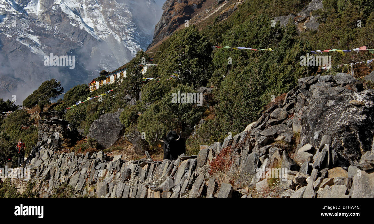 Mani stones leading to Thame monastery, Namche, Solukhumbu District ...