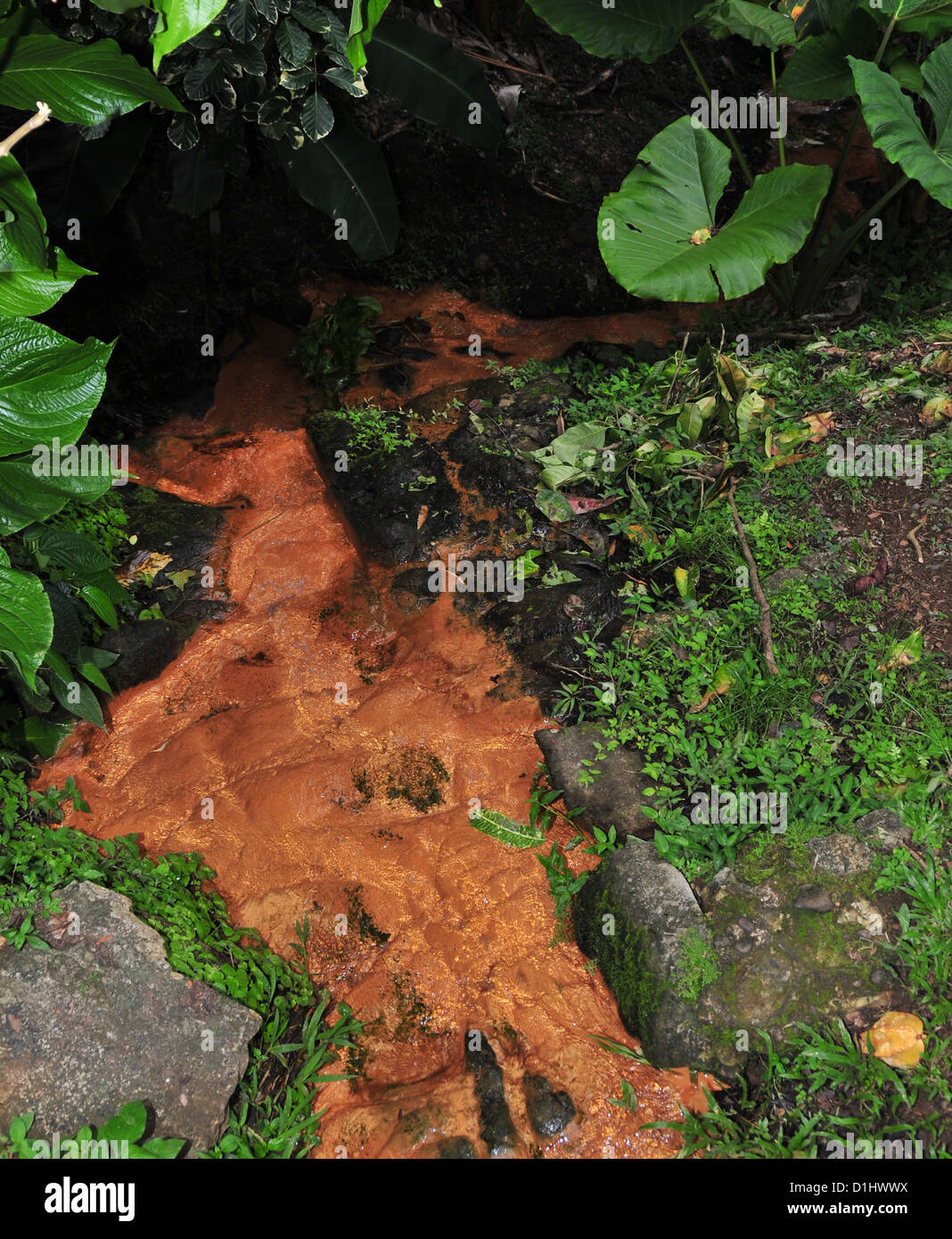 Annandale waterfall hi-res stock photography and images - Alamy