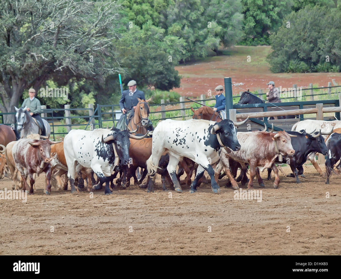 Red bull clothing hi-res stock photography and images - Alamy