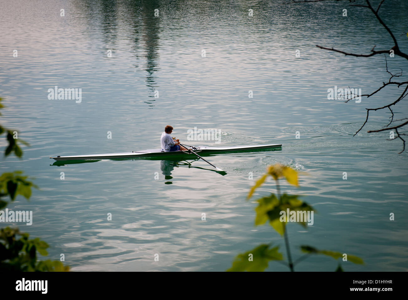 Rower on Lake Bled, Slovenia Stock Photo - Alamy
