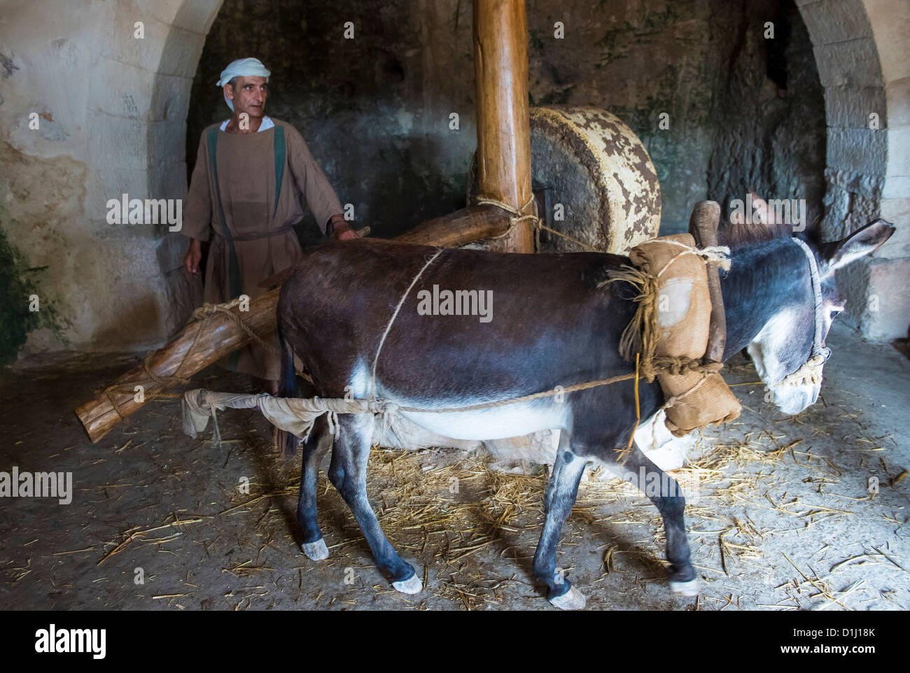 Palestinian with donkey hi-res stock photography and images - Alamy
