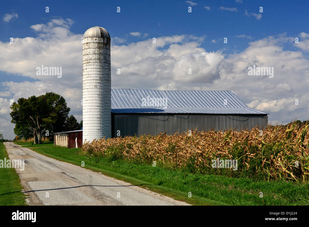 Corn field barn hi-res stock photography and images - Alamy