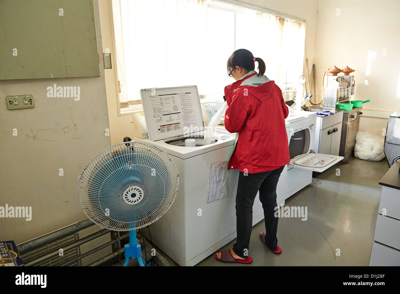 A woman loading washing machines Stock Photo - Alamy
