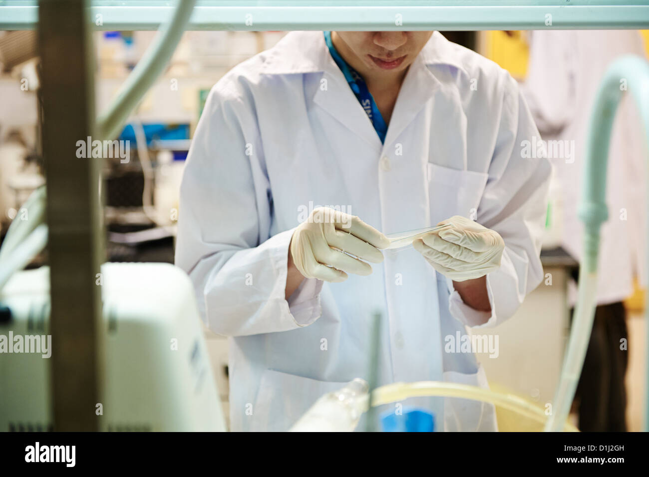 A lab worker prepares slides at a fabric research laboratory Stock ...